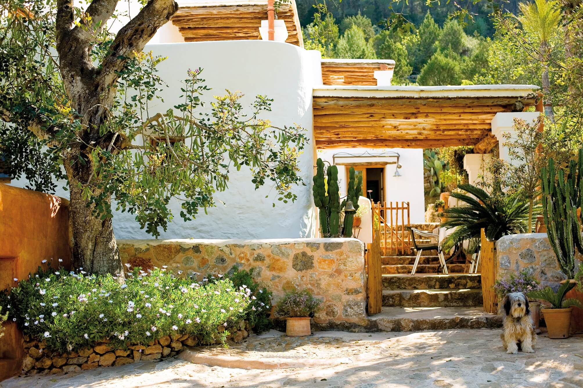 Belvilla - Continews